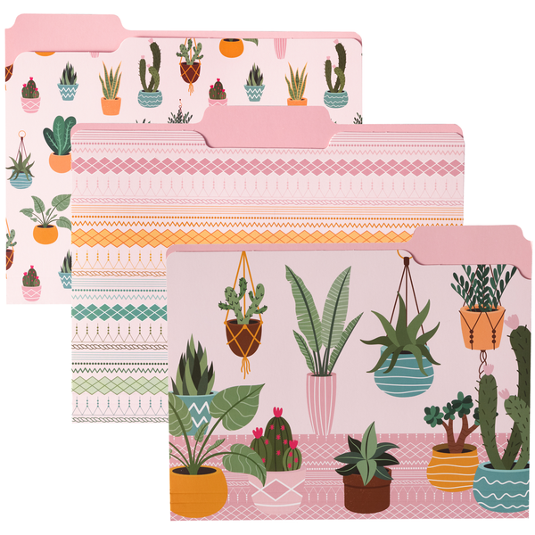 Succulents - Steel Mill Gifts